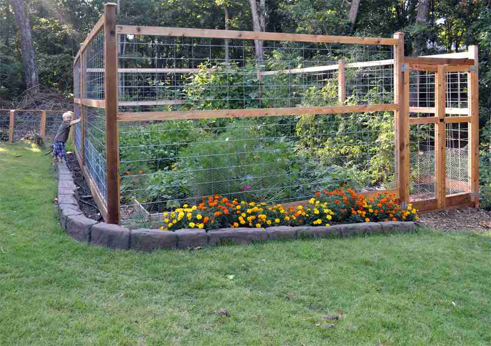 Fencing in a Vegetable Garden | Plant A Veg