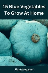 15 Blue Vegetables | Plant A Veg