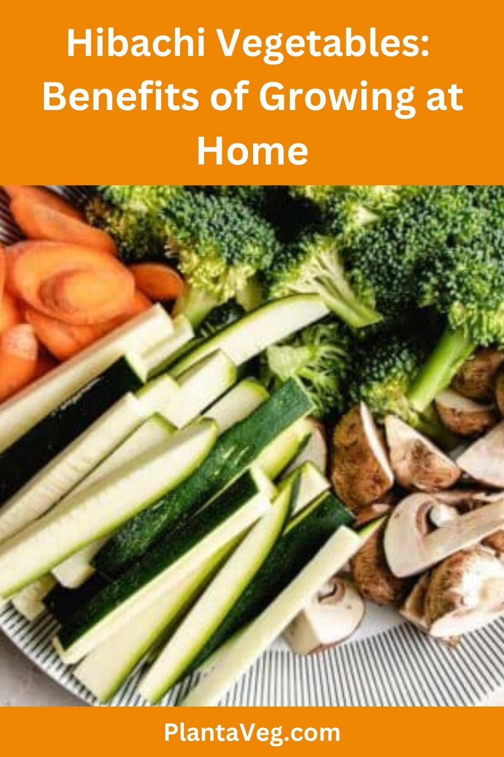 Hibachi Vegetables - Benefits of Growing at Home | Plant A Veg