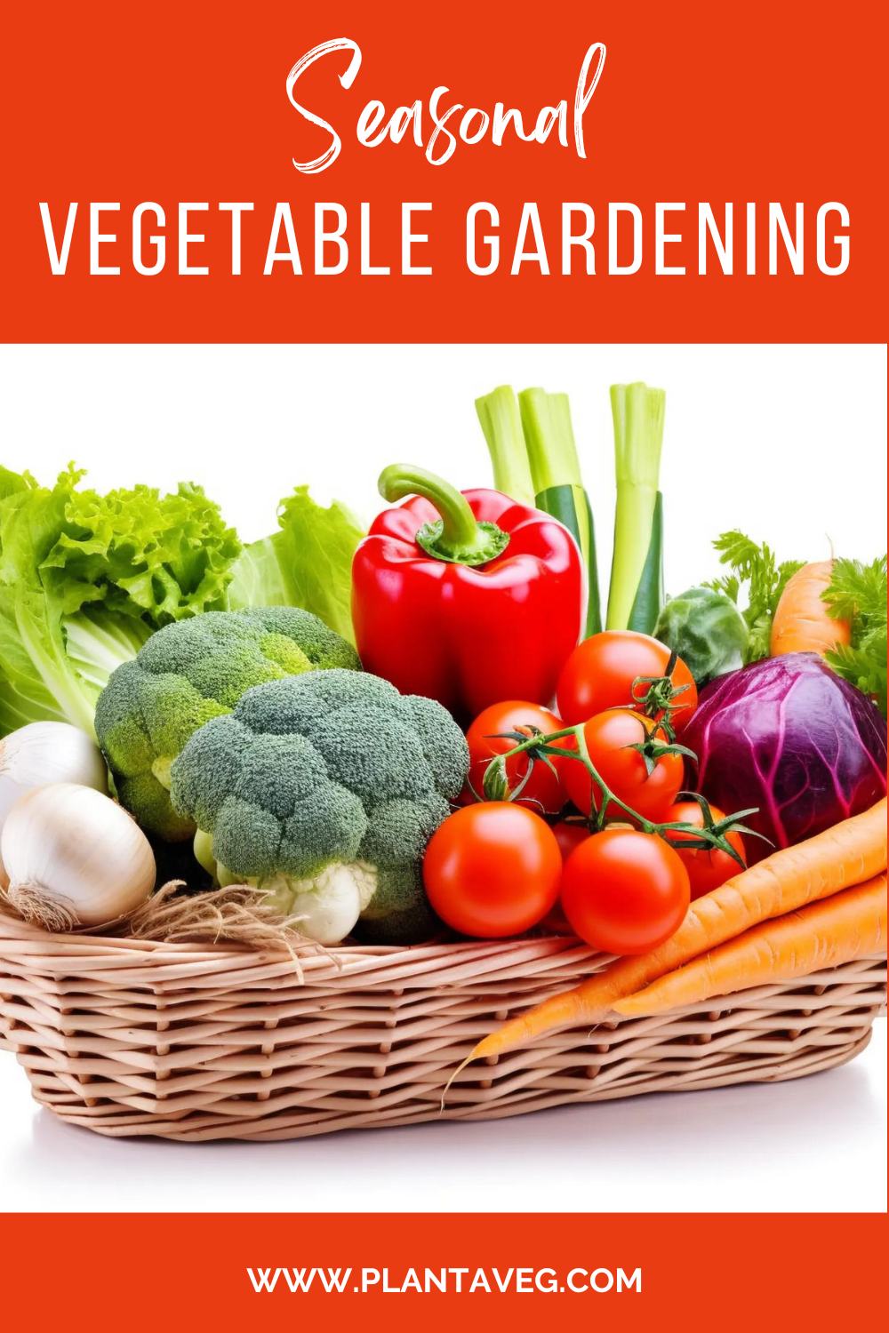 Seasonal Vegetable Gardening: Plentiful Fresh Vegetables | Plant A Veg