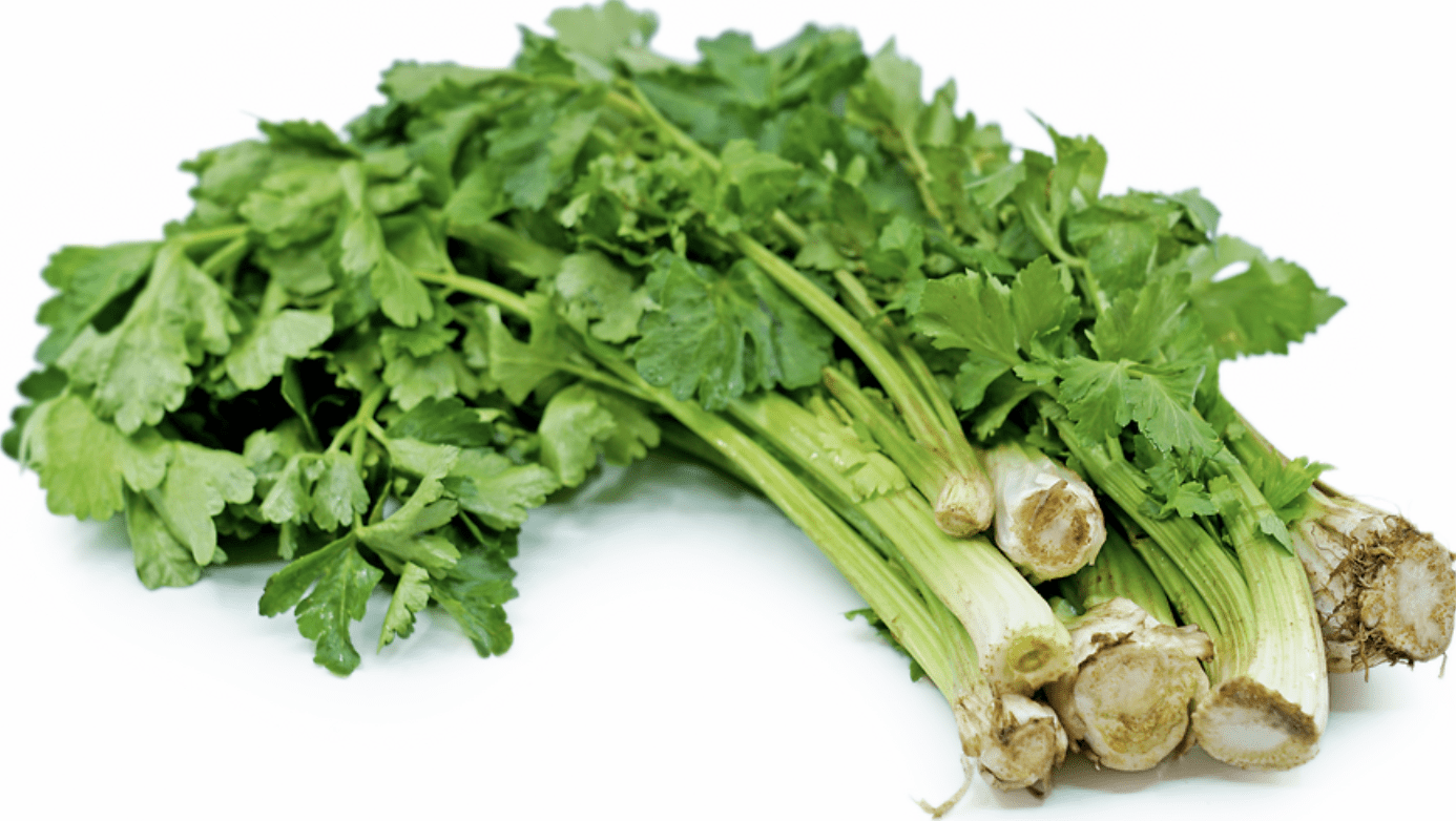 Chinese Celery: A Complete Guide | Plant A Veg